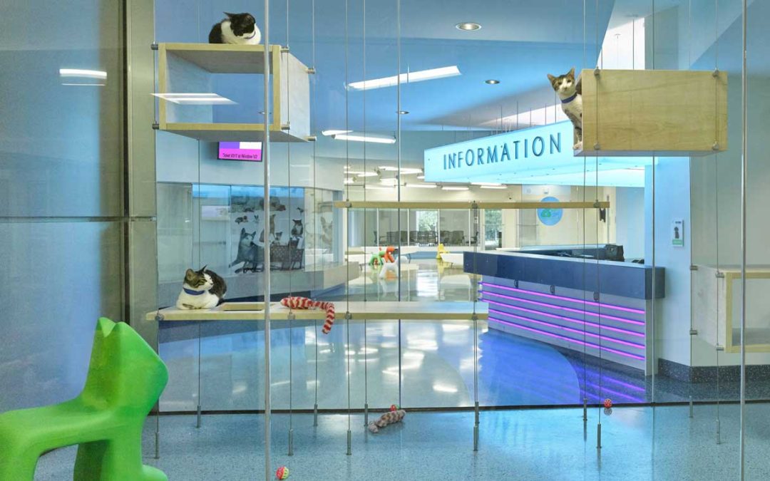 Animal Shelter Design Archives Bacon Group Architecture