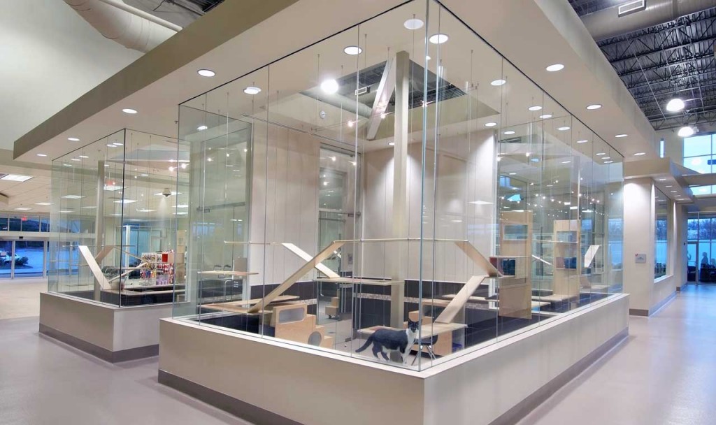 Cat-Area-View-1 - Bacon Group Architecture