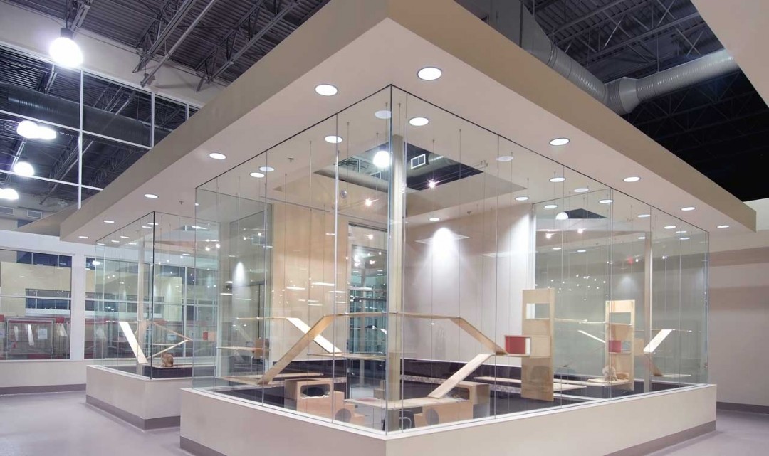 Cat-Area-View-4 - Bacon Group Architecture